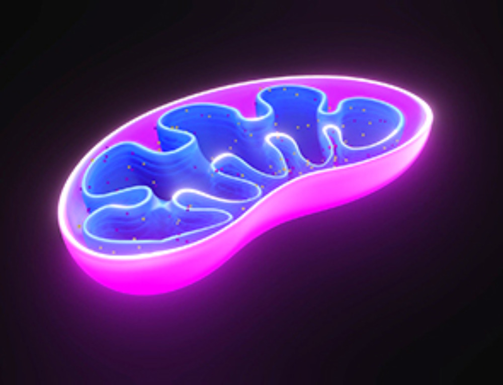 Updated – Worldwide Press for “Human Brain/Cloud Interface” – NanoApps ...