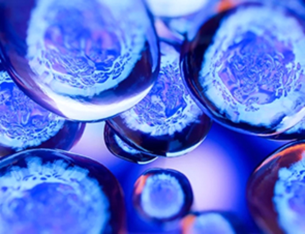 Updated – Worldwide Press for “Human Brain/Cloud Interface” – NanoApps ...