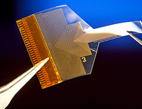 Researchers Discover New Mnemomic Networks in the Brain – NanoApps ...