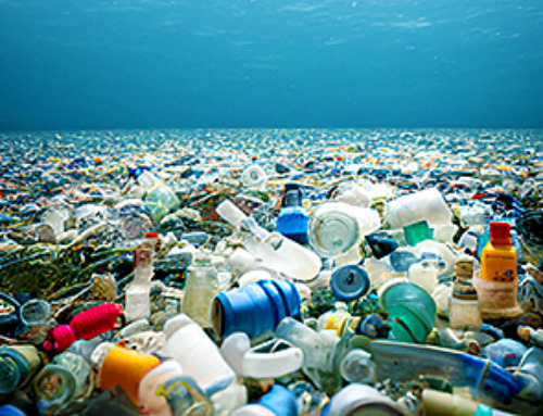 Plastic-eating bacteria turn waste into useful starting materials for ...