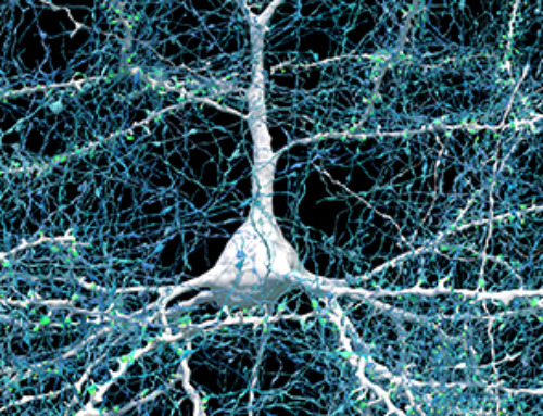 Mind Control Breakthrough: Caltech’s Pioneering Ultrasound Brain ...