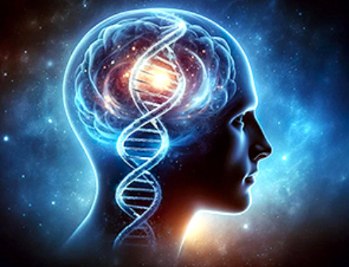 Europe spent 600 million euros to recreate the human brain in a ...